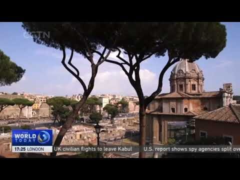 Exploring the Iconic Trees of Rome: A Guide to Italy's Urban Canopy ...